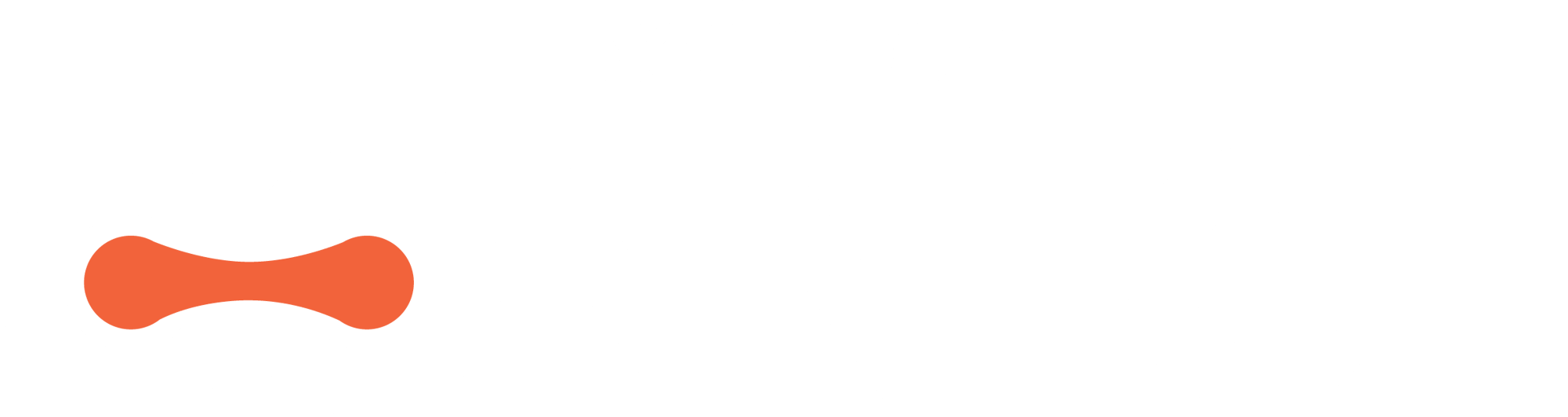 BioCatch Connect