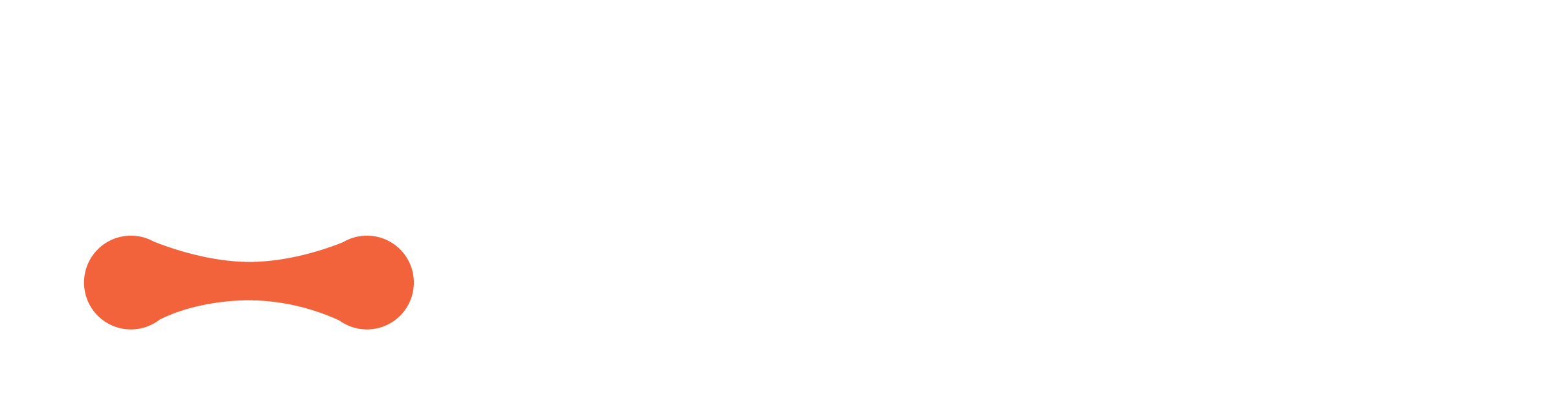 BioCatch Connect