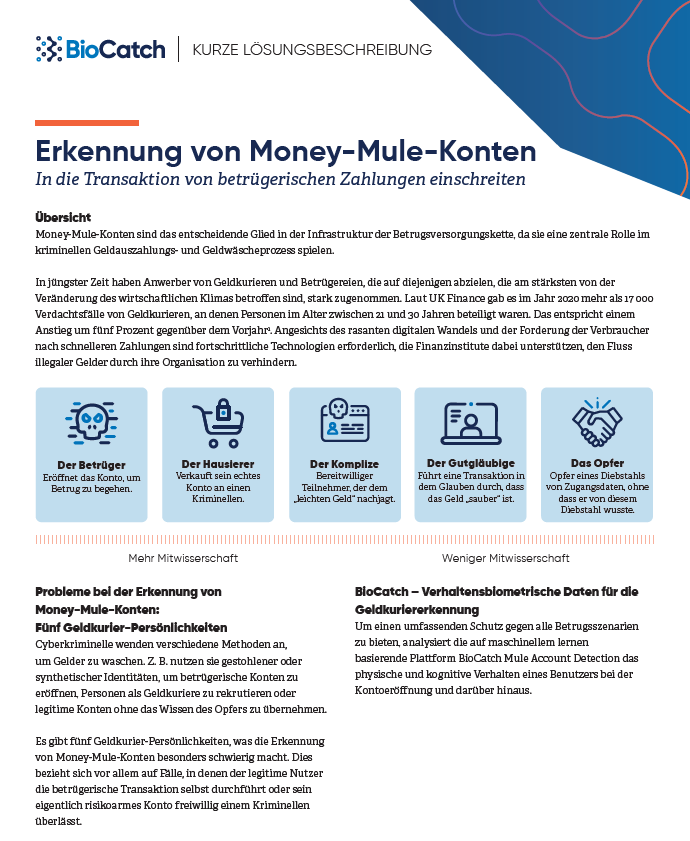 Solution Brief - Mule Account Detection - GERMAN