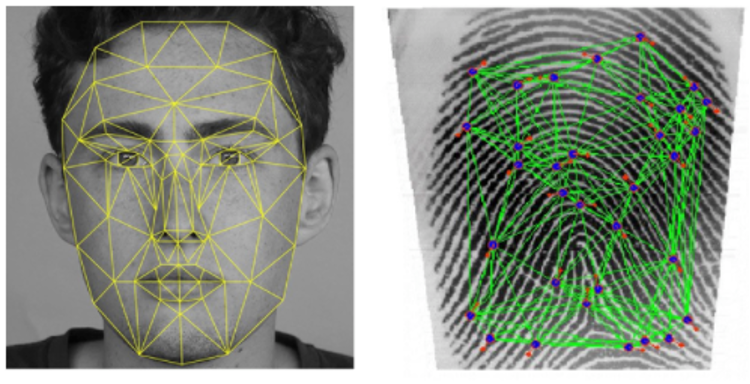 Behavioral vs. Static Biometrics: Dynamic Fraud Detection Explained