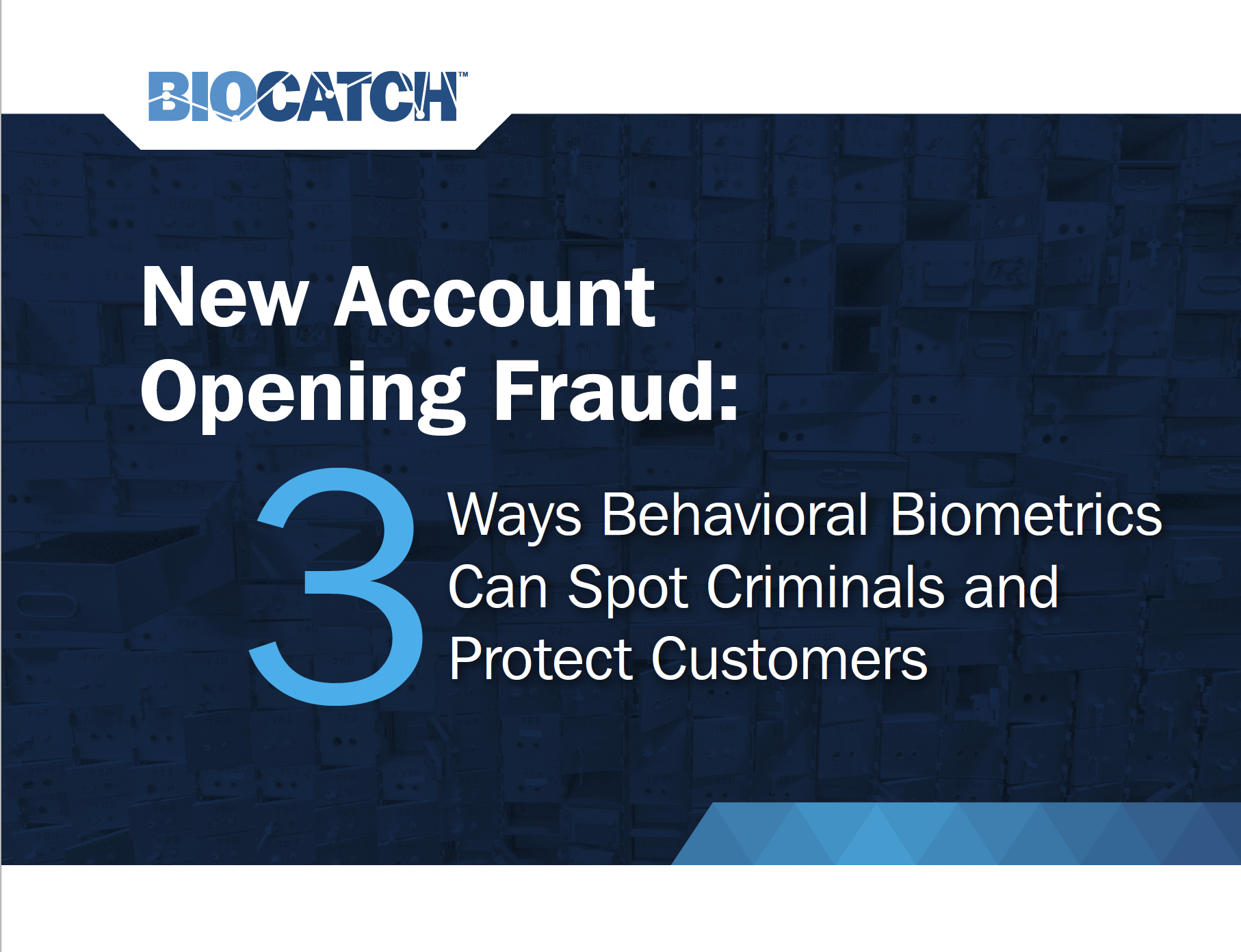 New Account Fraud Prevention [Video & Case Studies]