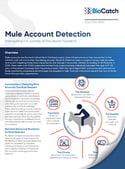 Mule Account Detection