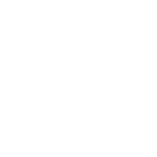 2024 AI Fraud Financial Crime Survey