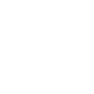 2024 AI Fraud Financial Crime Survey