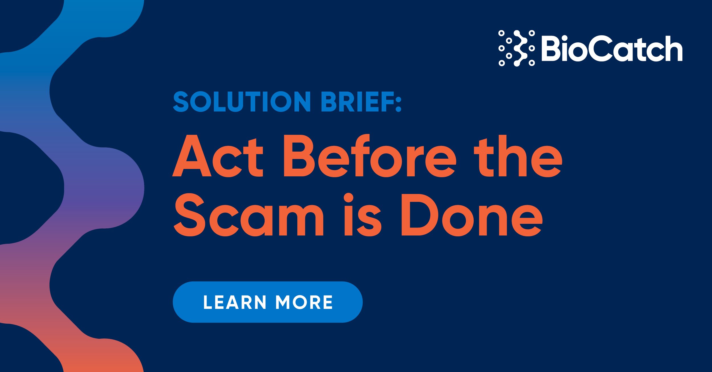 Solution Brief | Act Before the Scam is Done