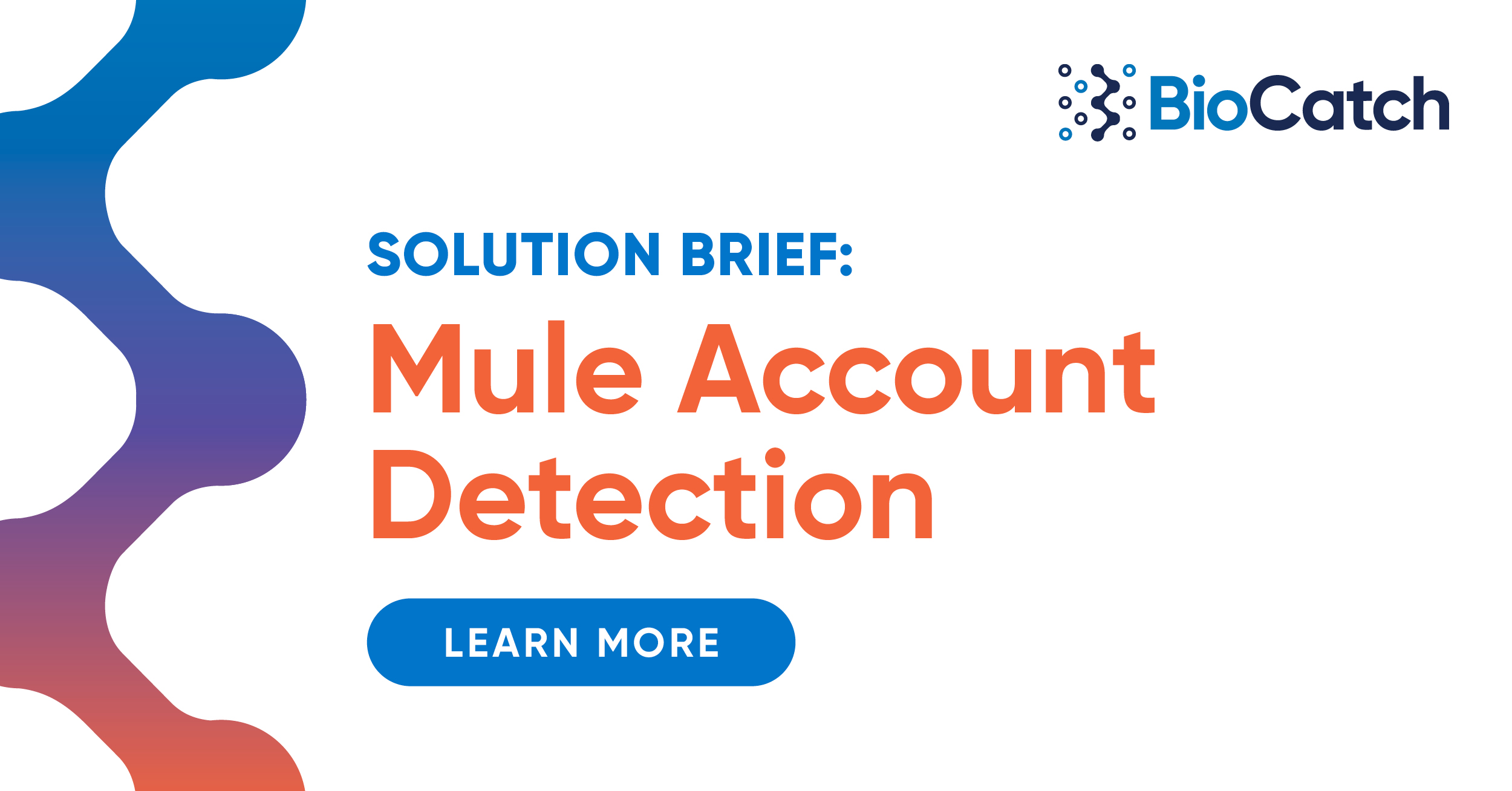 Mule Account Detection