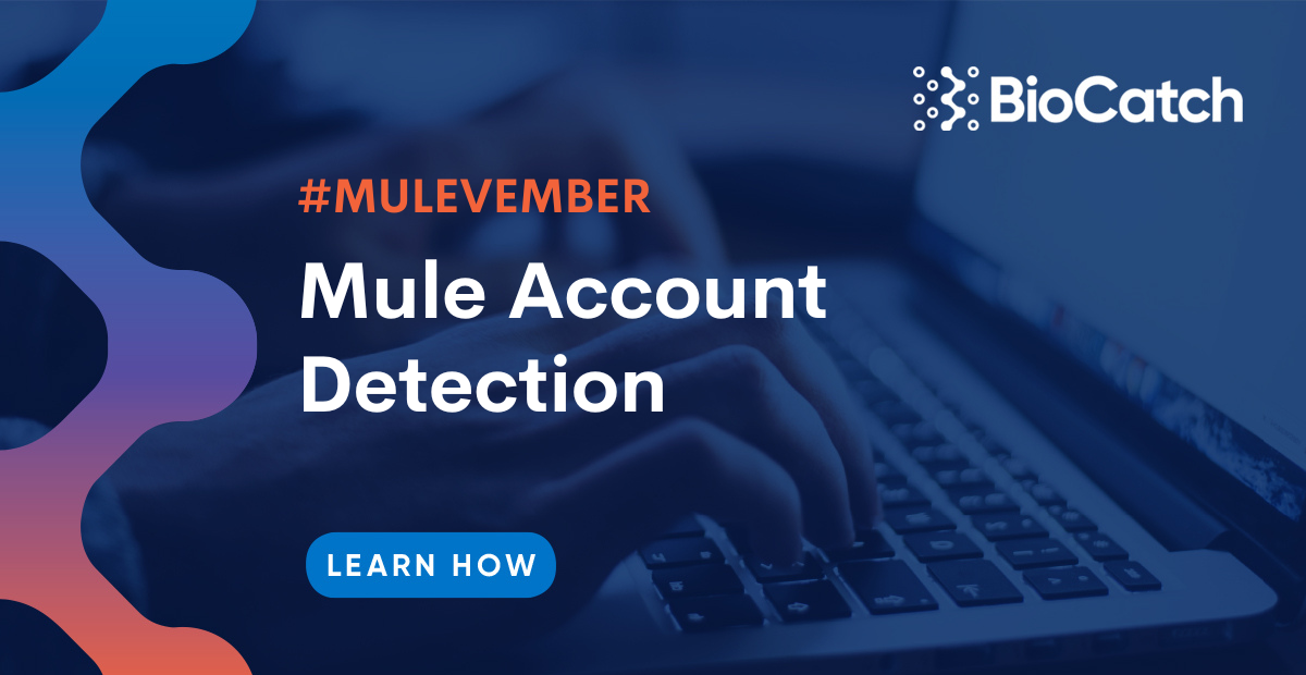 Mule Account Detection