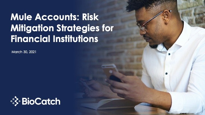 Mule Accounts: Risk Mitigation Strategies for Financial Institutions
